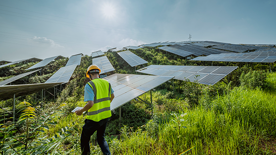 Time to get into the climate action: three easy best practices to help ...