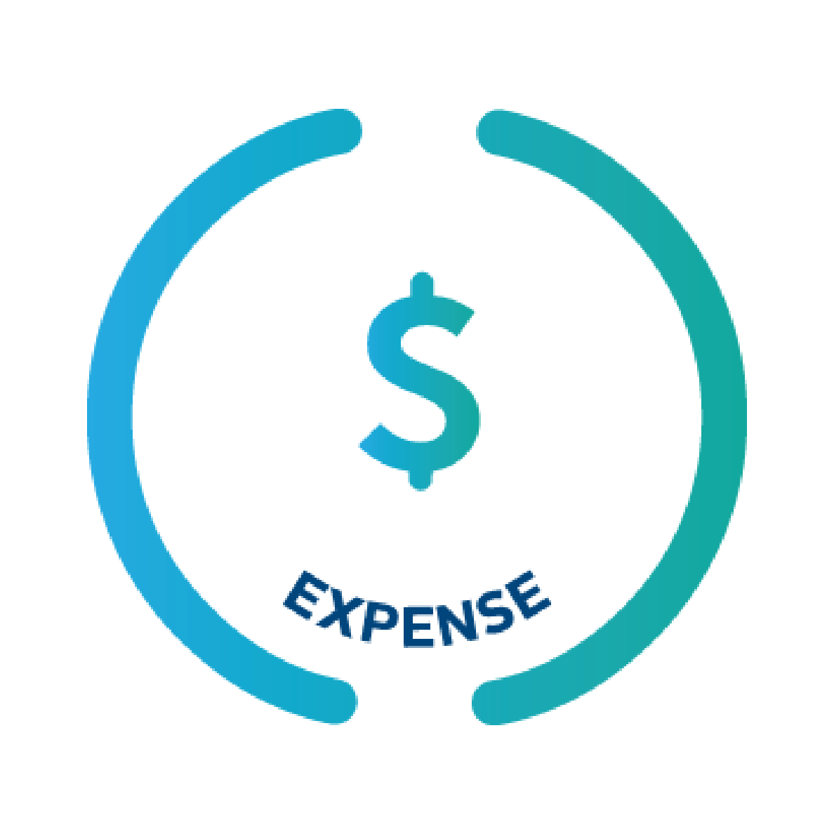 Expenses Icon