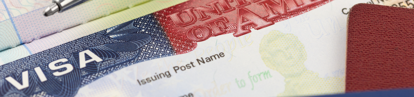 Visa delays Explained